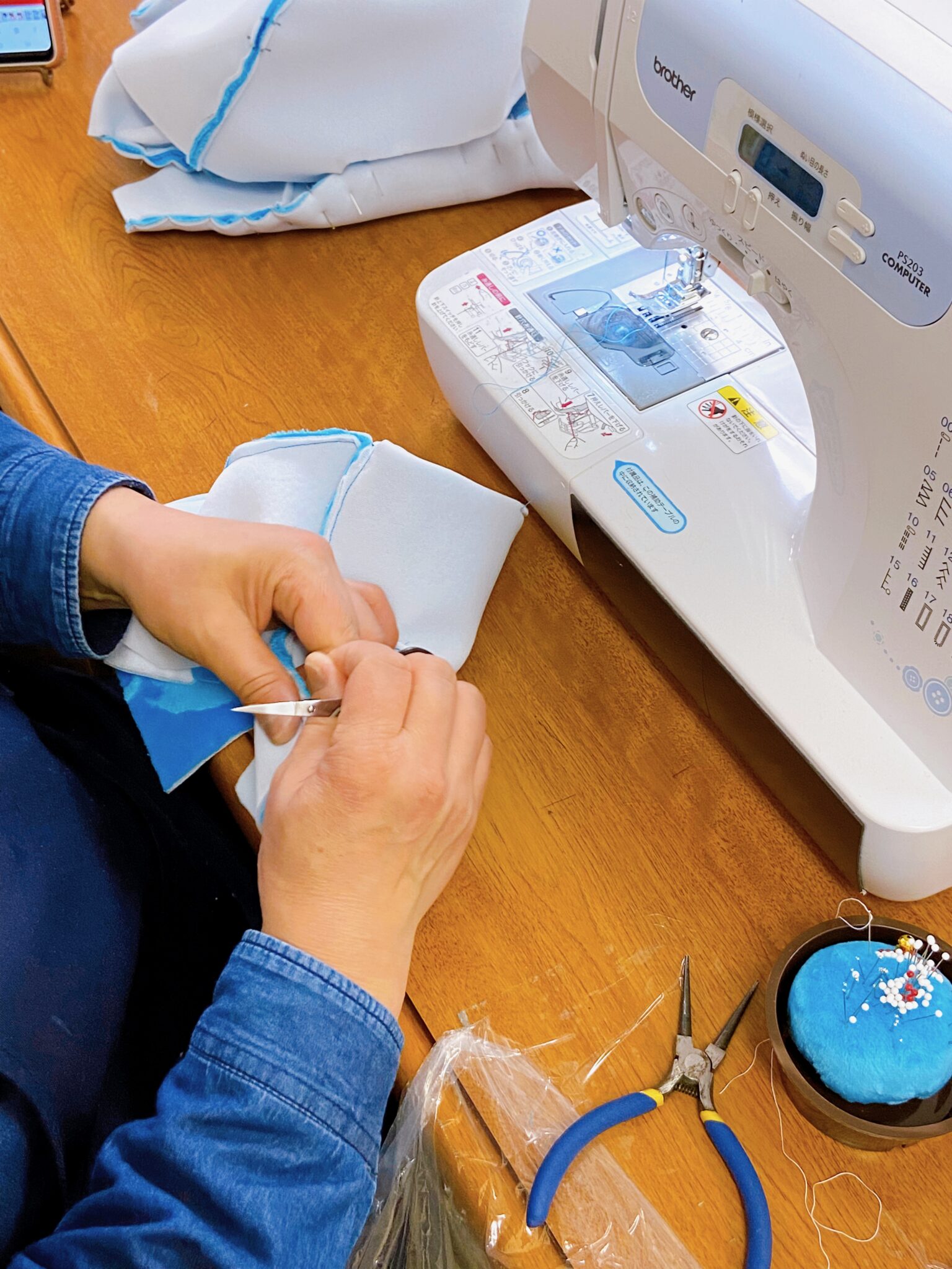 Repair Plan – AnthroMate.com