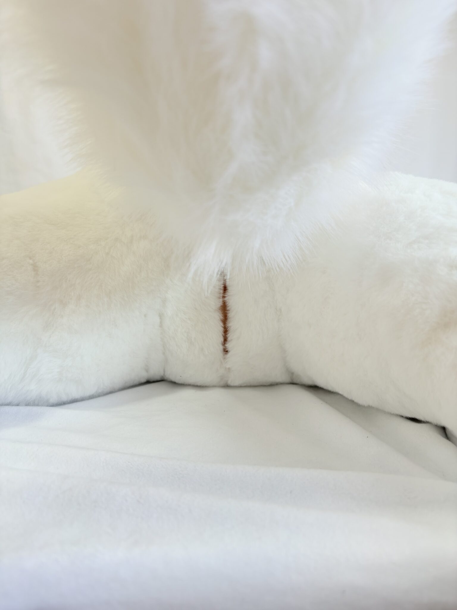 AnthroMateドール 小てんちゃん 白 – AnthroMate.com